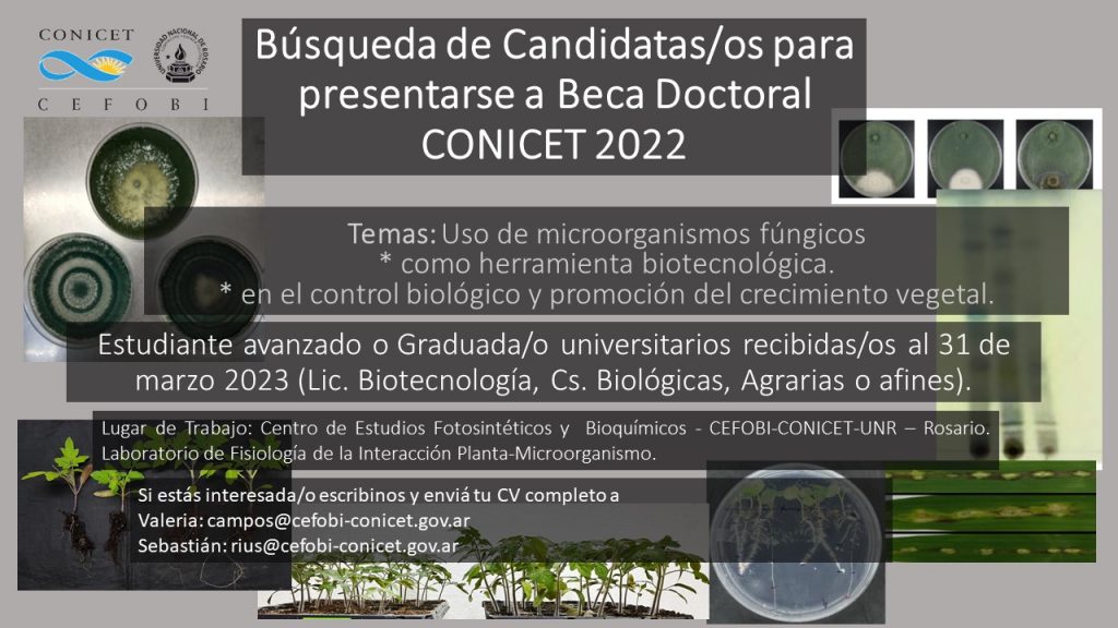 Beca Doctoral – Dr. Sebastian Rius – CEFOBI | Centro de Estudios ...